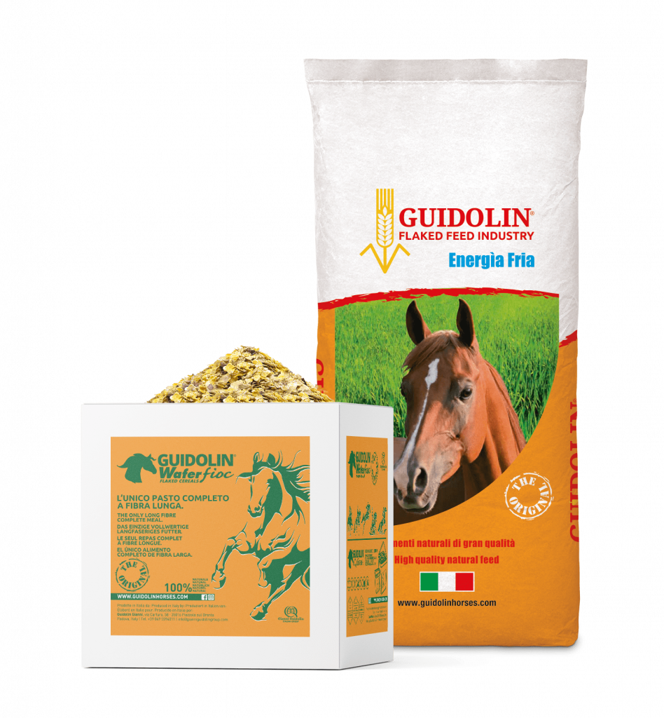 Equibar Mobility | Articulaciones caballos | Guidolin España